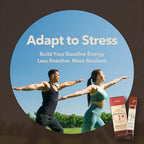 Korean ginseng for immune support