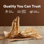 korean ginseng for stress relief