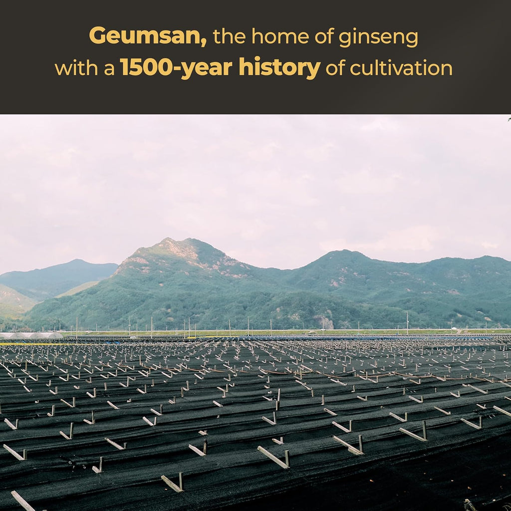 Korean ginseng for stress relief
