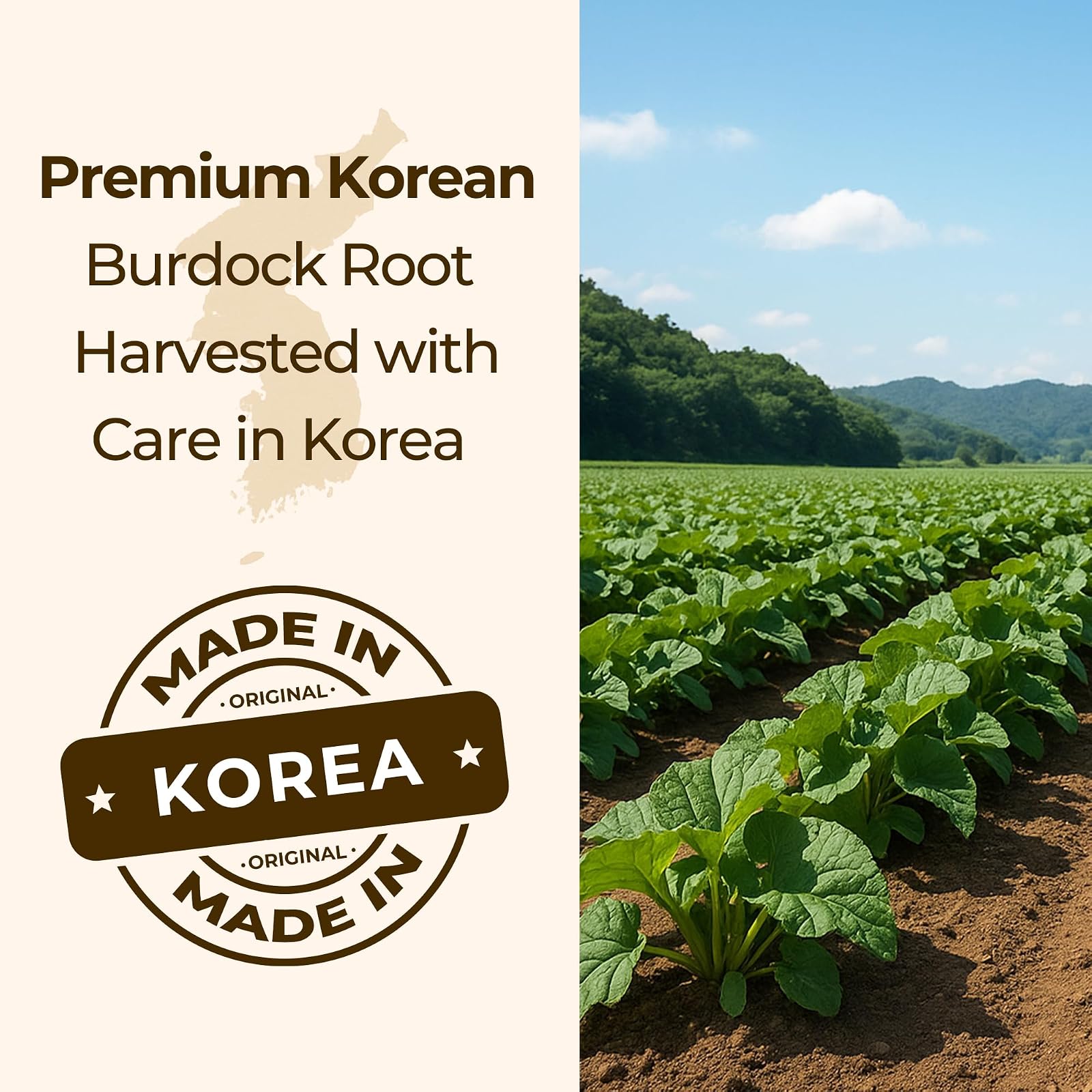 Korean herbal tea for wellness