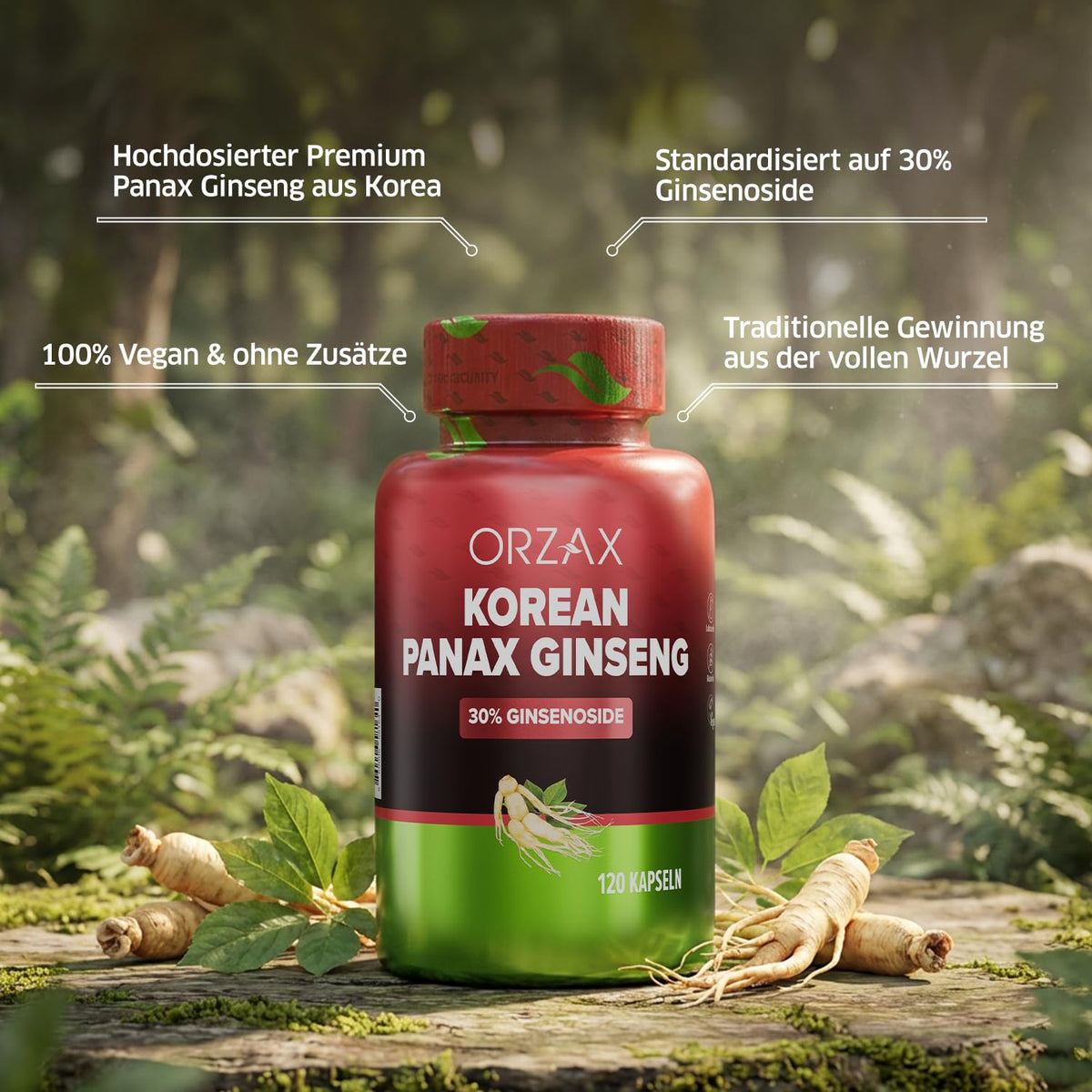 Korean panax ginseng for vitality