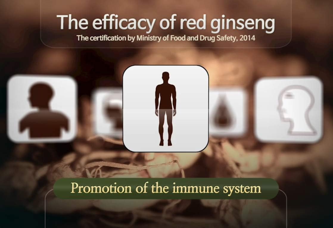 Korean Red Ginseng for stress relief