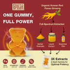 Korean red panax ginseng health benefits