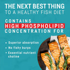 Kori krill oil boosts brain function
