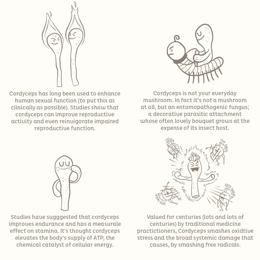 KOS cordyceps for athletic recovery