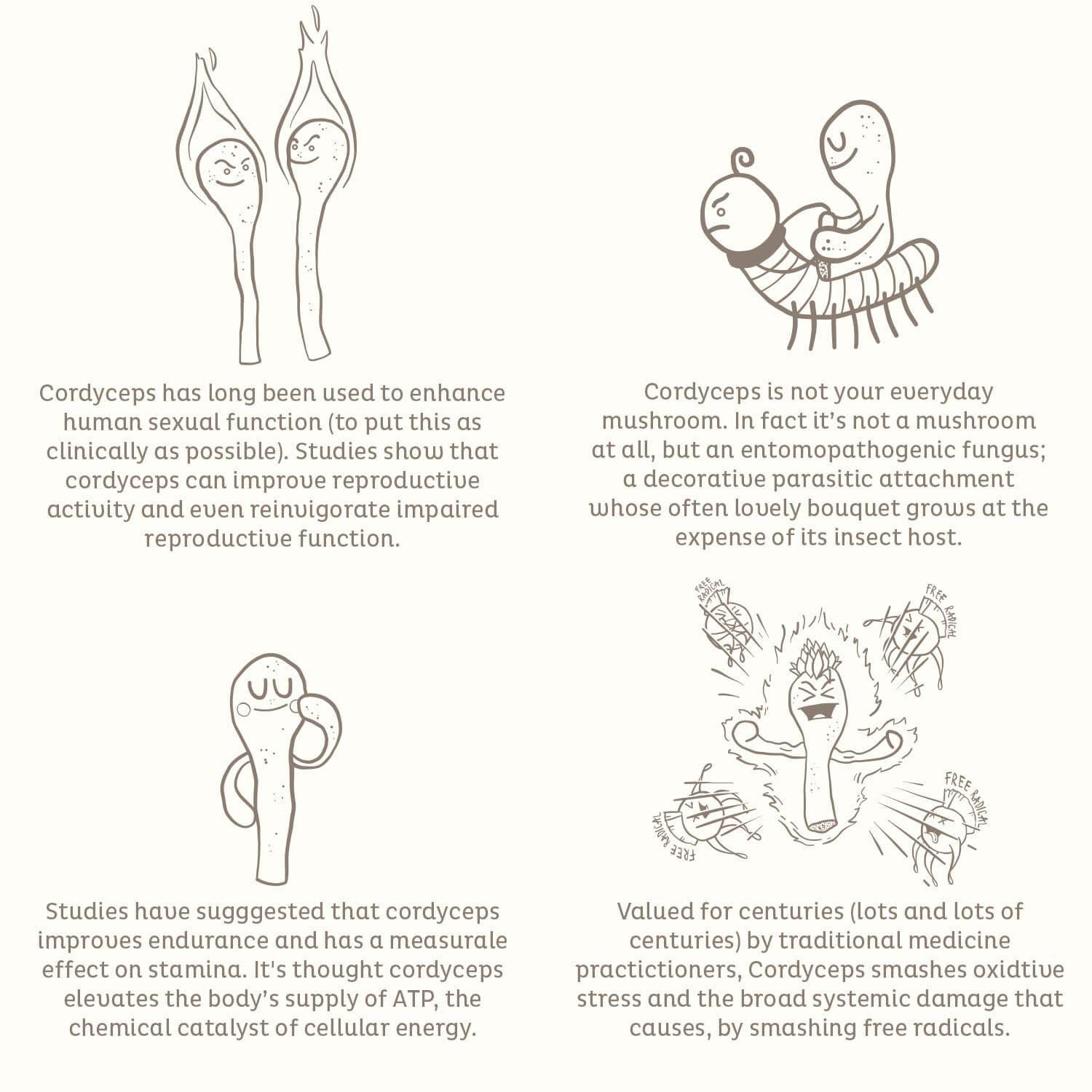 KOS cordyceps for athletic recovery