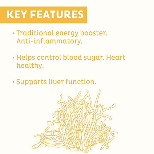 KOS mushrooms for active lifestyles