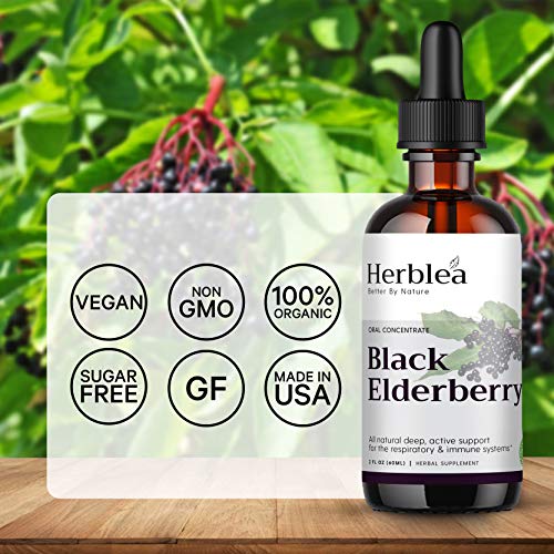 kosher elderberry tincture for vitality