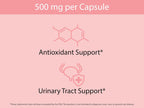 KOYAH herbal supplement for daily wellness