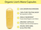 KOYAH lion's mane capsules for wellness