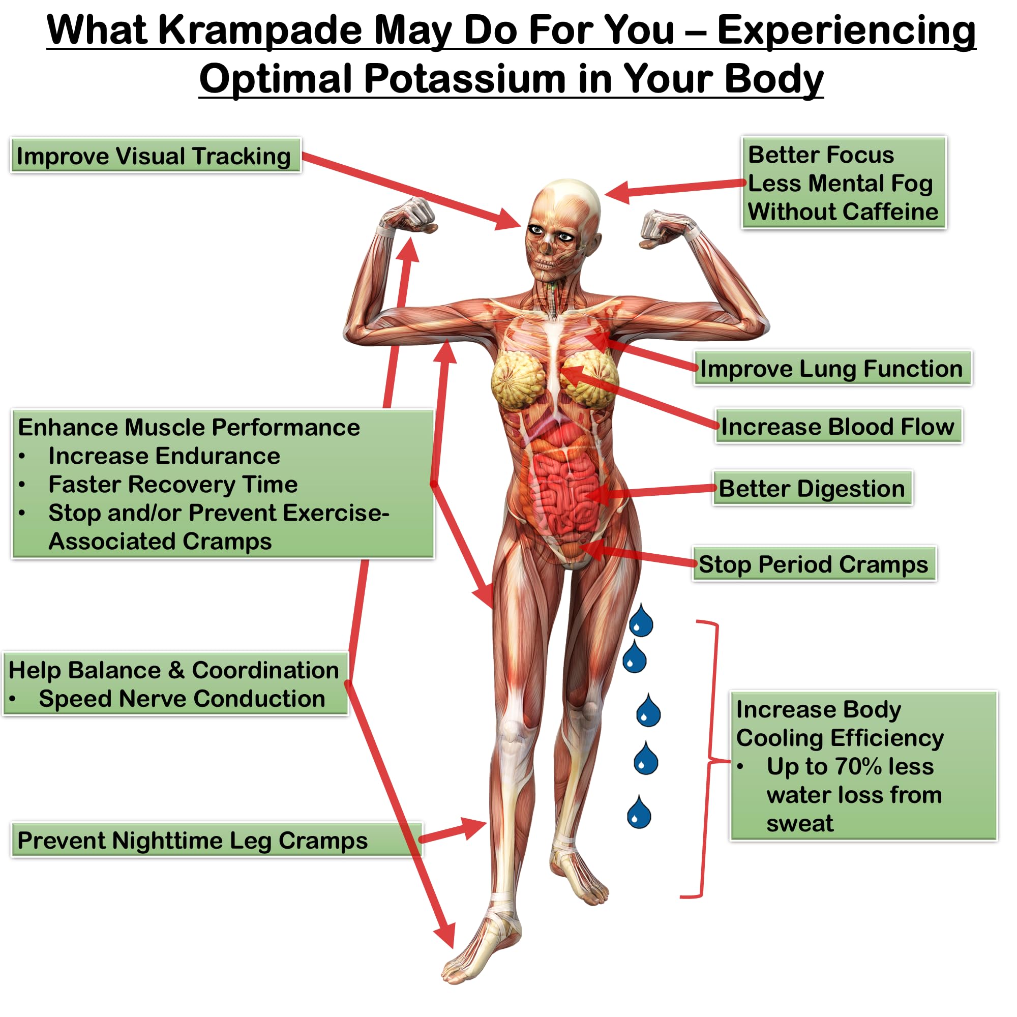 Krampade electrolytes for optimal performance