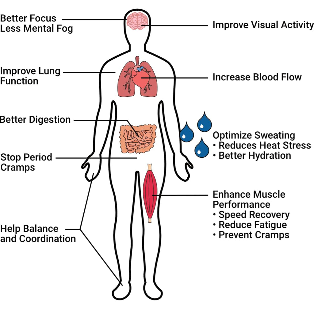 Krampade supplement for active lifestyles