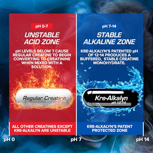Kre-Alkalyn for improved workout endurance