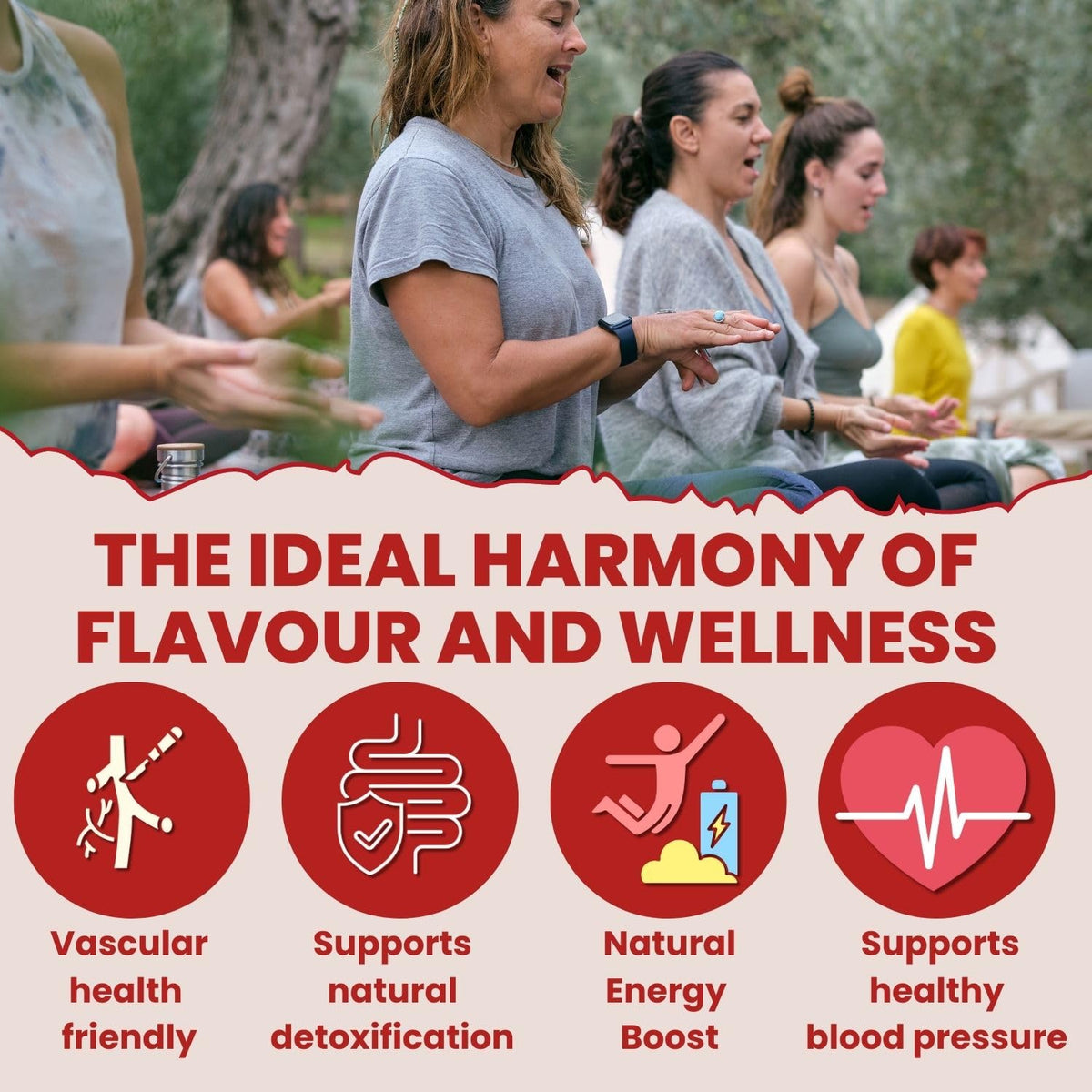 KRIHAN arjuna tea for vitality