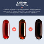krill oil for brain function
