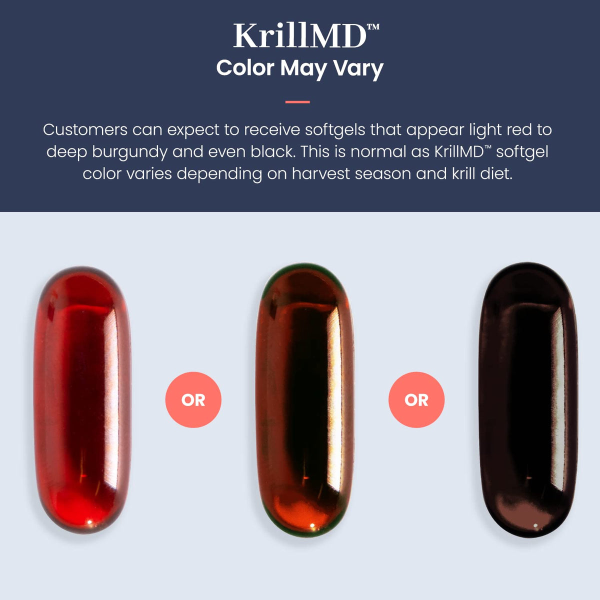 krill oil for brain function