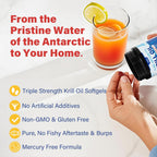 krill oil for brain function
