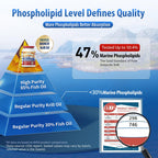 krill oil for cognitive function support