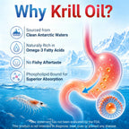 Krill oil for cognitive function support