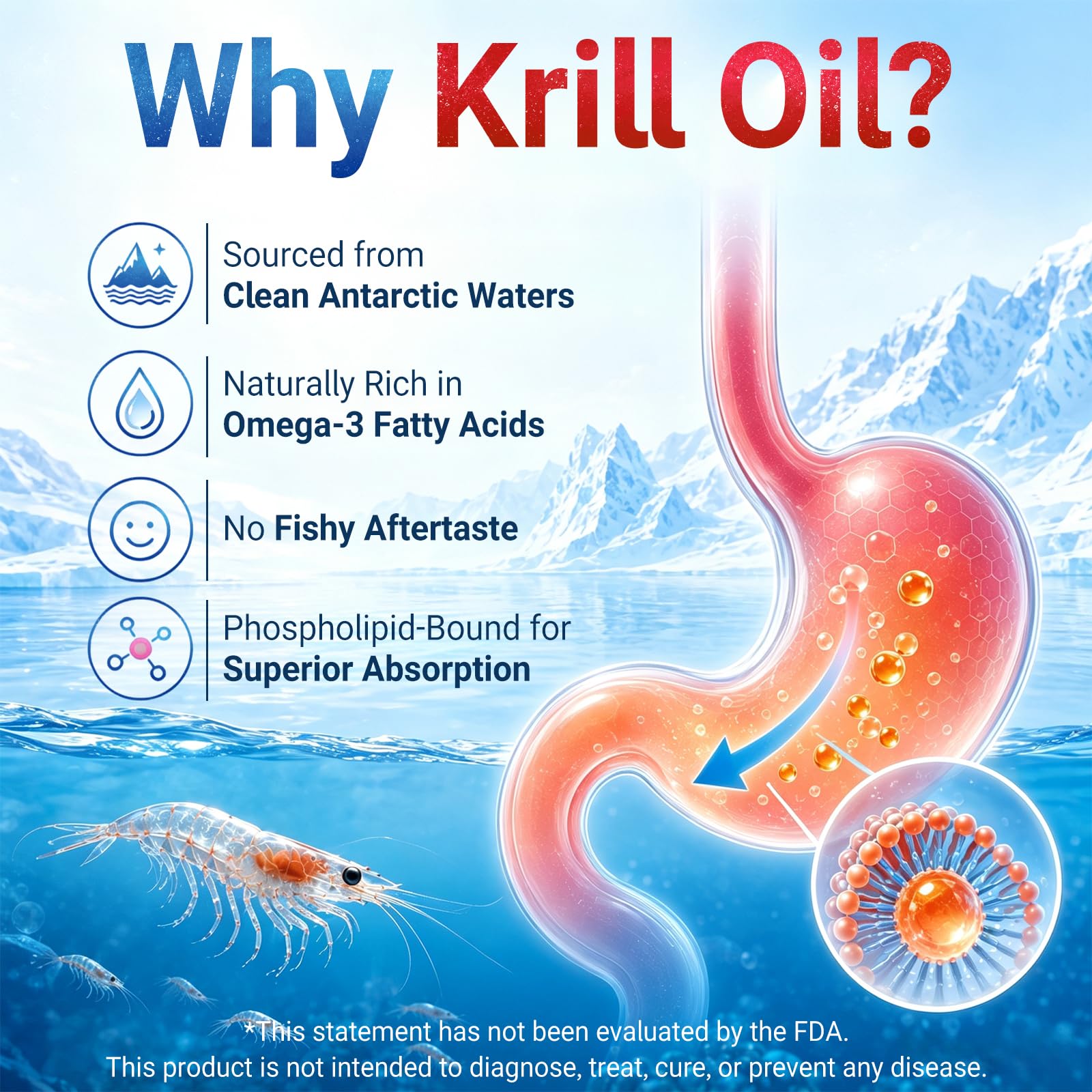 Krill oil for cognitive function support