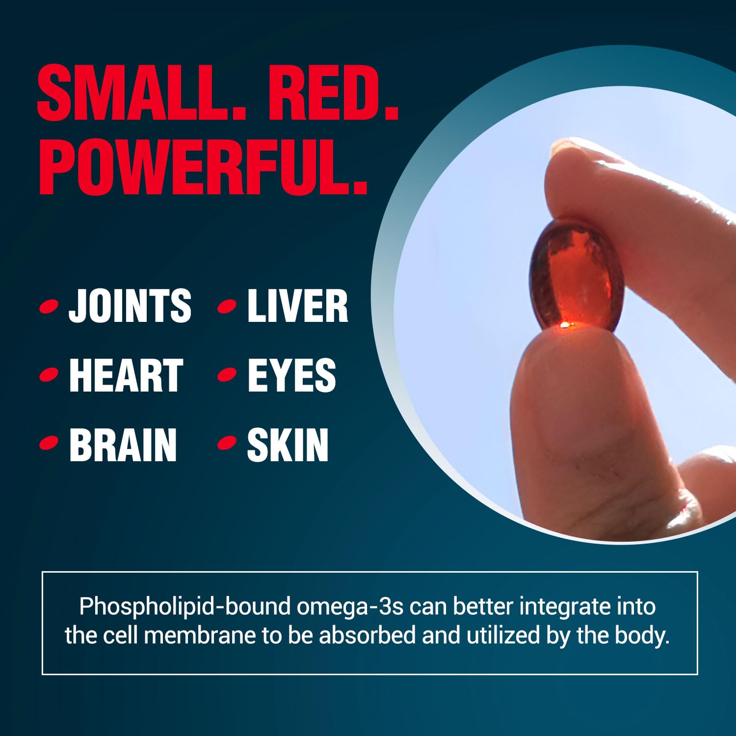 krill oil for healthy skin