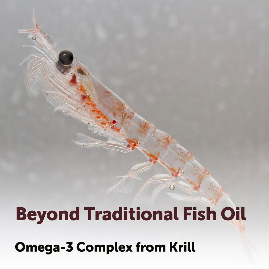 krill oil for heart support