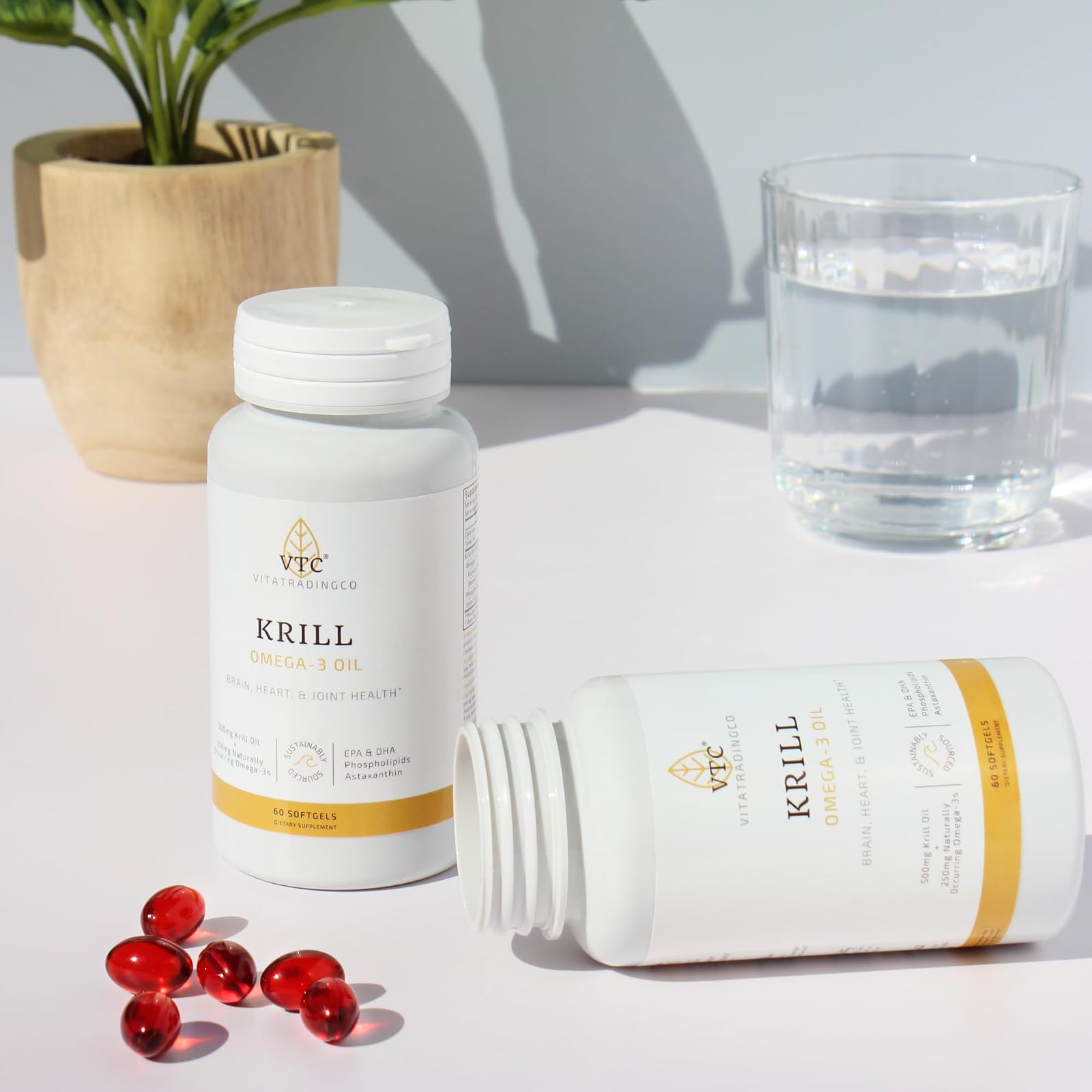 krill oil for joint support