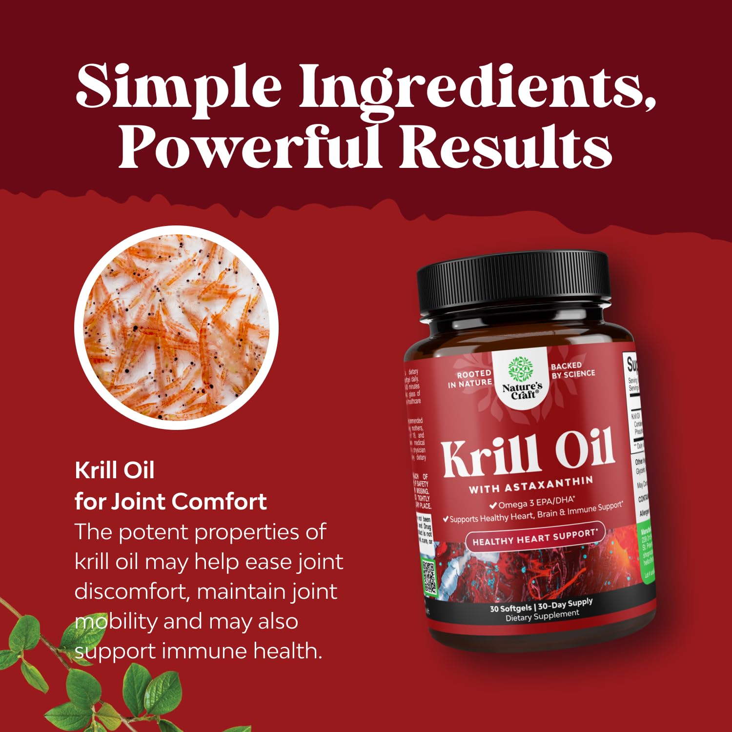krill oil supplements for brain function