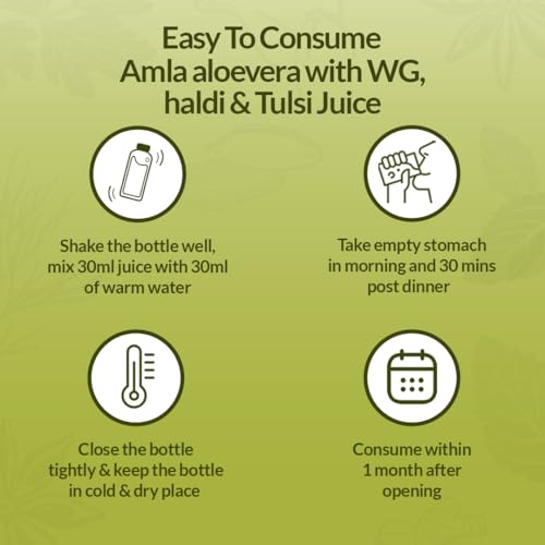 KRISHNA'S HERBAL juice for digestion