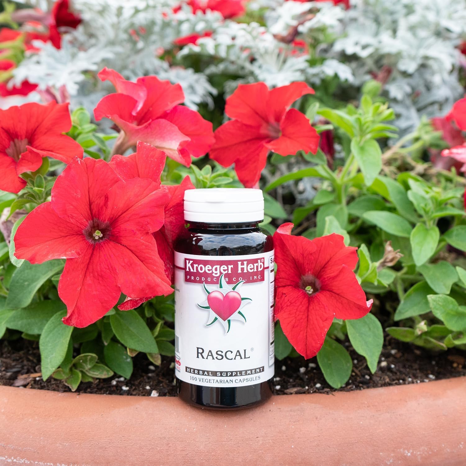 Kroeger Herb Rascal for overall health