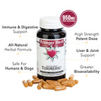 Kroeger turmeric for digestive health