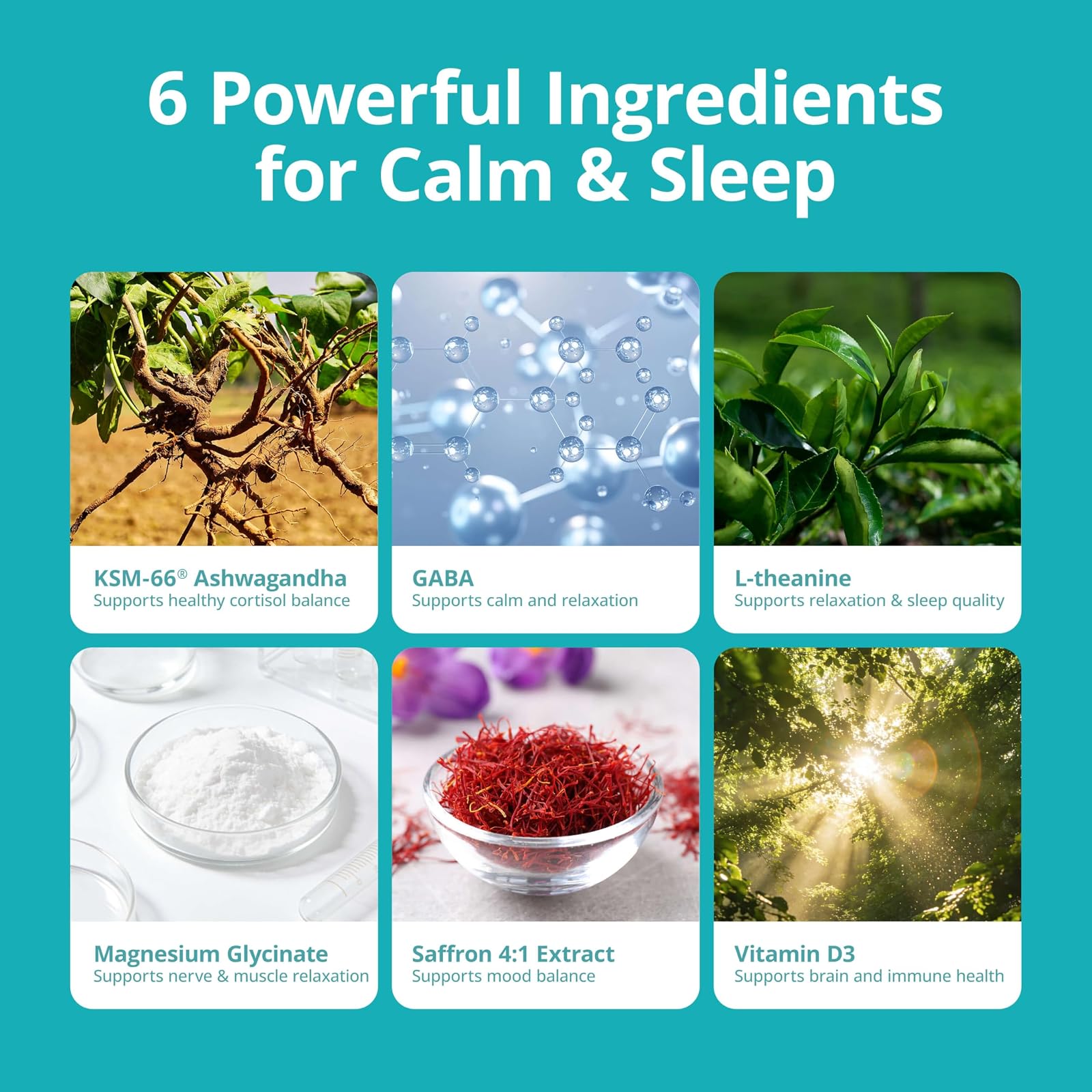 KSM-66 600 mg Ashwagandha benefits