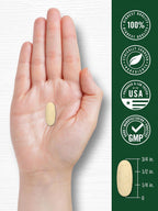 KSM-66 ashwagandha extract for vitality