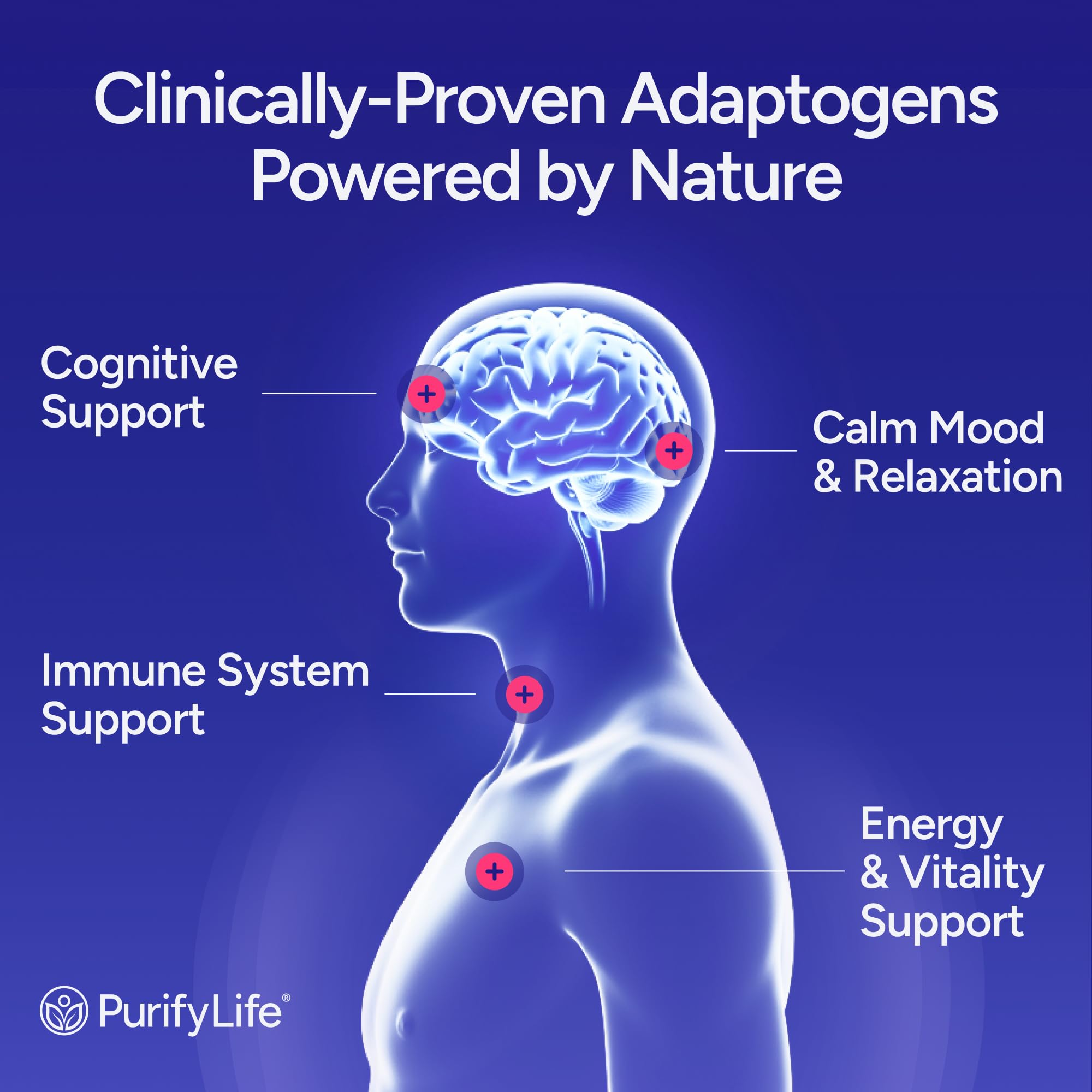 KSM 66 ashwagandha for better mood