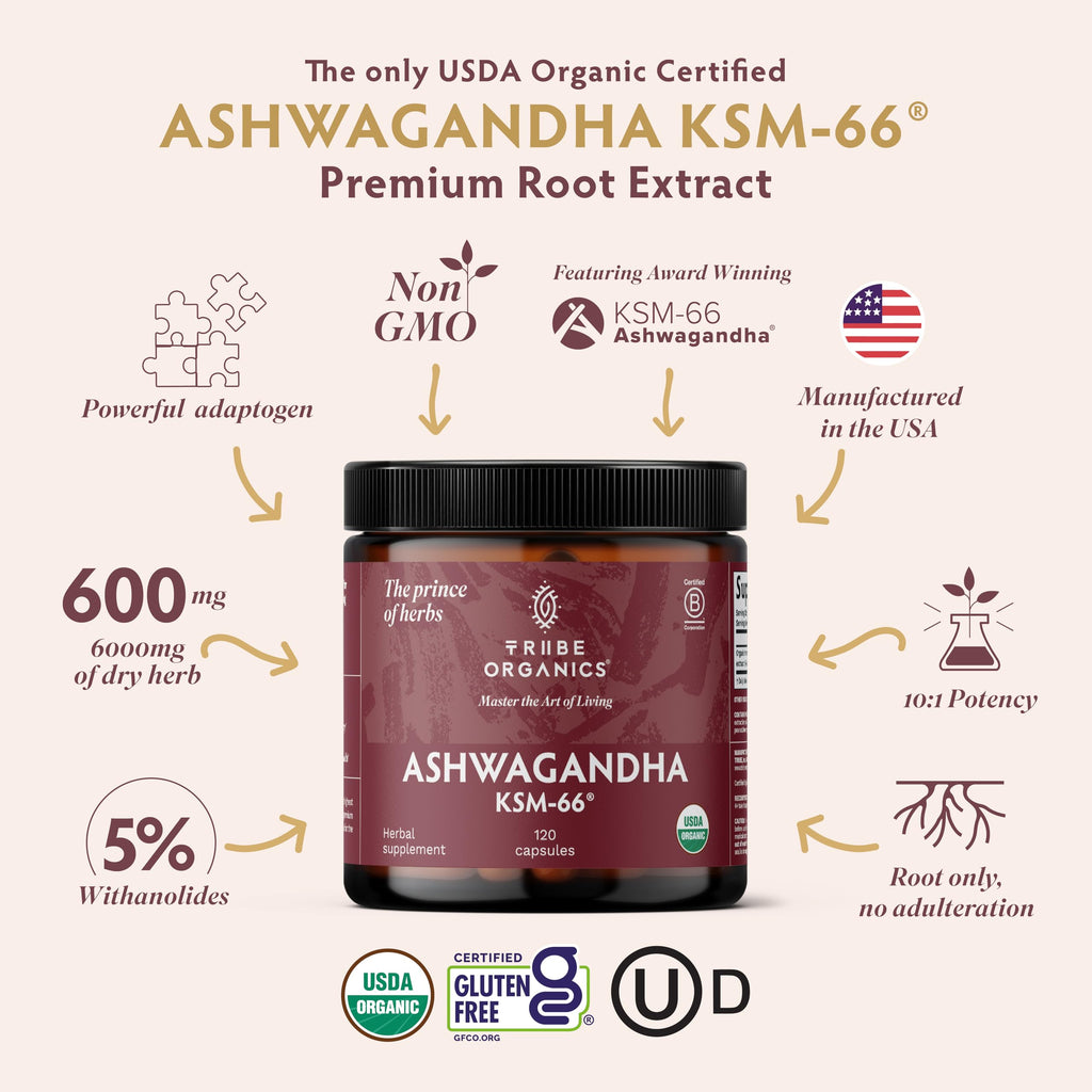 KSM 66 ashwagandha for energy boost