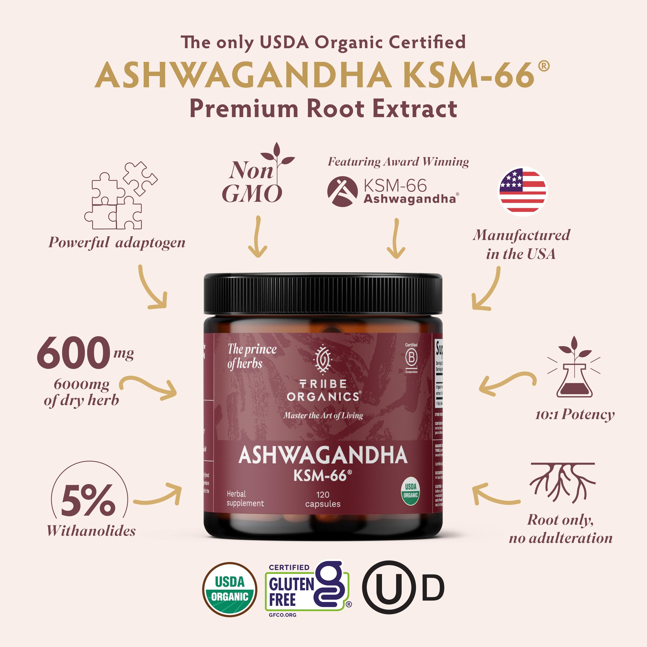 KSM 66 ashwagandha for energy boost