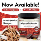 KSM-66 ashwagandha for immune system support
