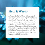 KSM-66 ashwagandha for improved focus
