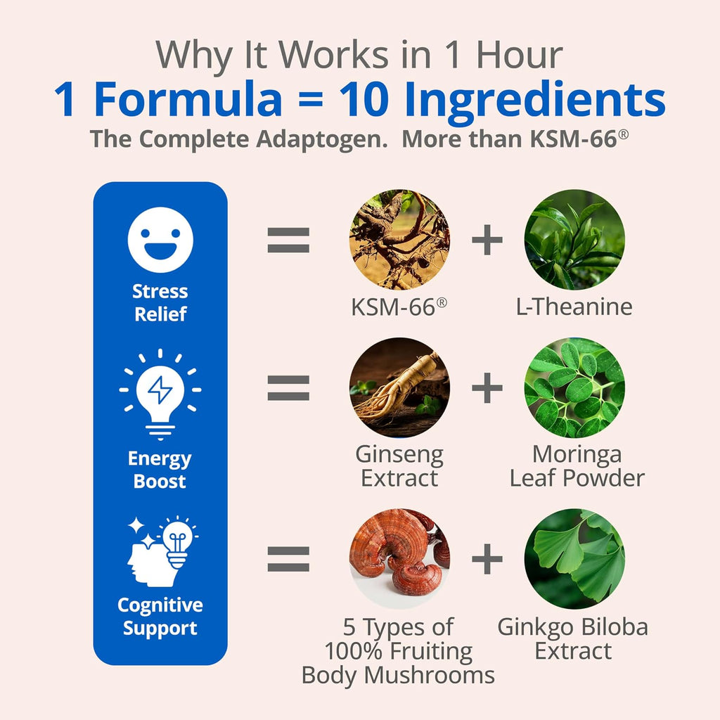 KSM-66 ashwagandha for relaxation