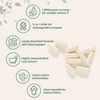 KSM-66 ashwagandha for wellness