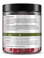 KSM-66 ashwagandha gummies for mental clarity