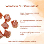 KSM-66 ashwagandha gummies for wellness