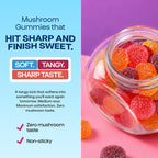 KSM-66 Ashwagandha health benefits