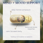 KSM-66 Ashwagandha stress relief capsules
