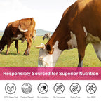 Kuerusor liver extract for balance