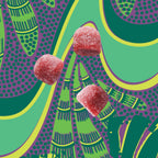 Kuli Kuli gummies for healthy skin