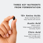 Kurozu vinegar for digestive health