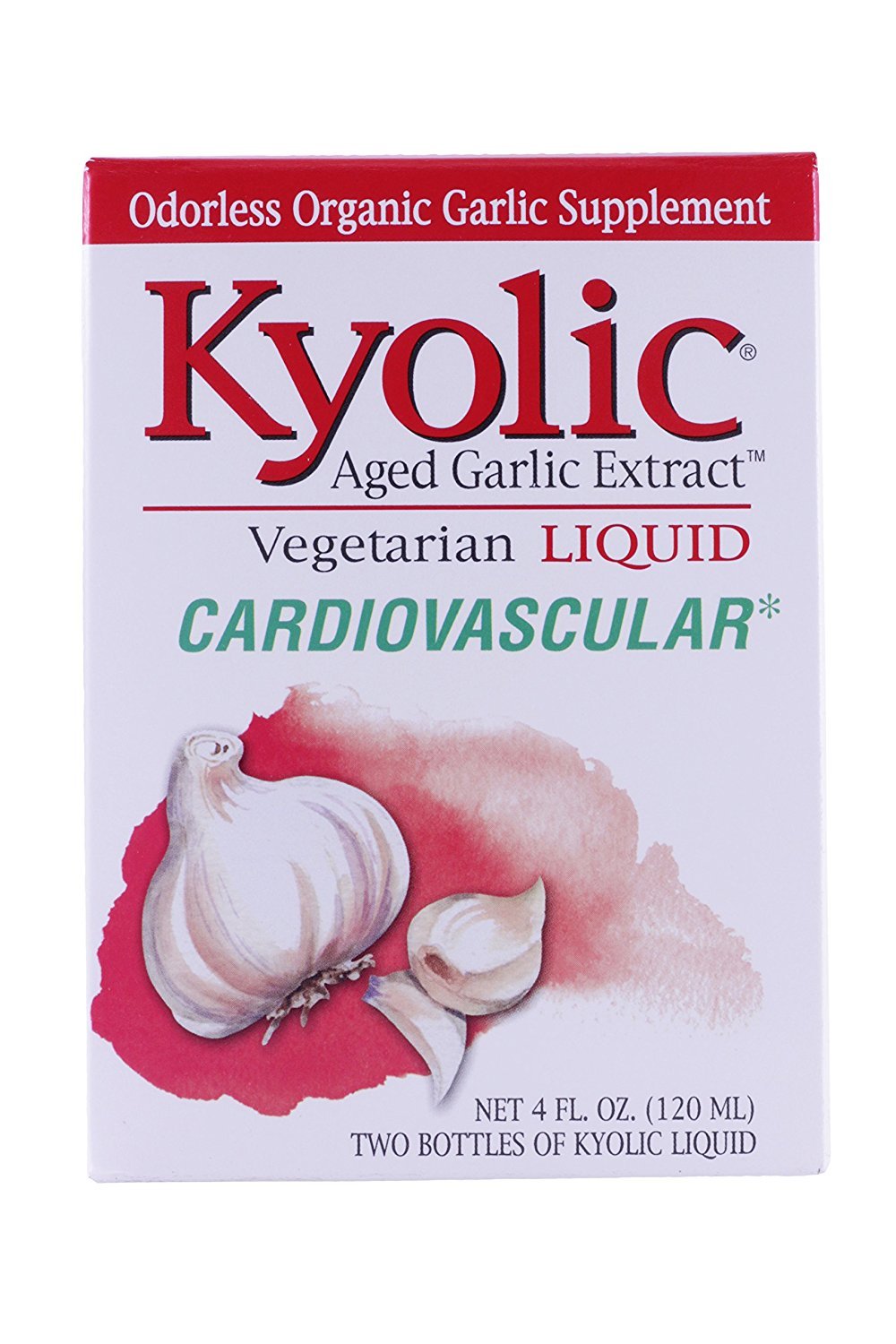 Kyolic aged garlic extract benefits