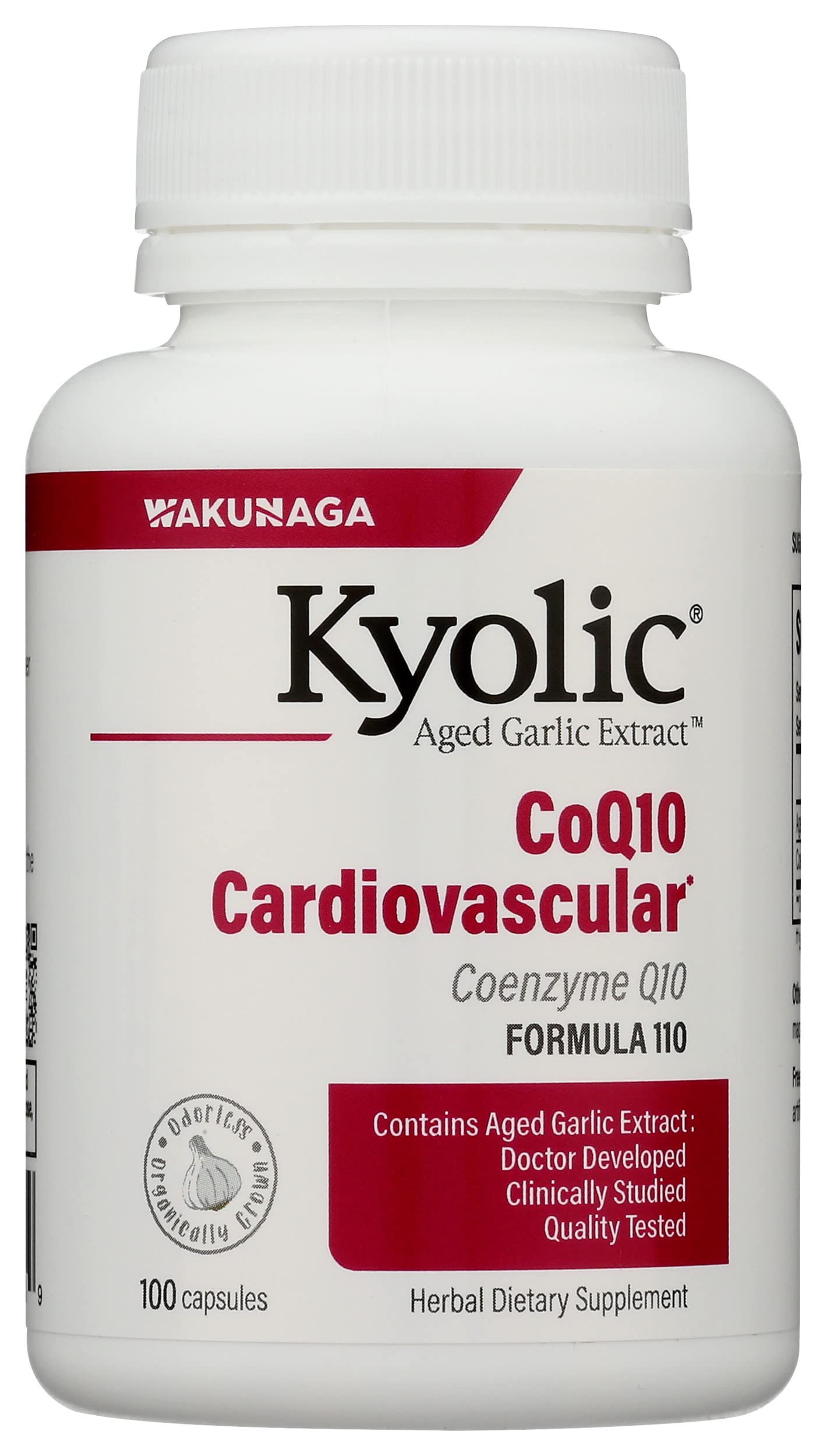 Kyolic aged garlic extract benefits