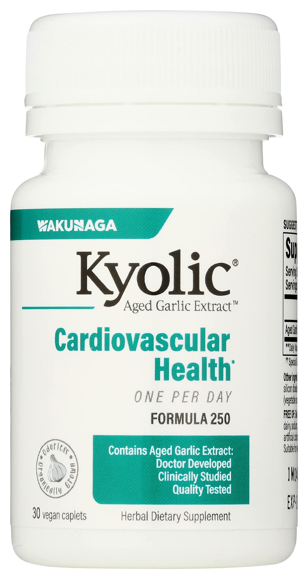 Kyolic aged garlic extract capsules